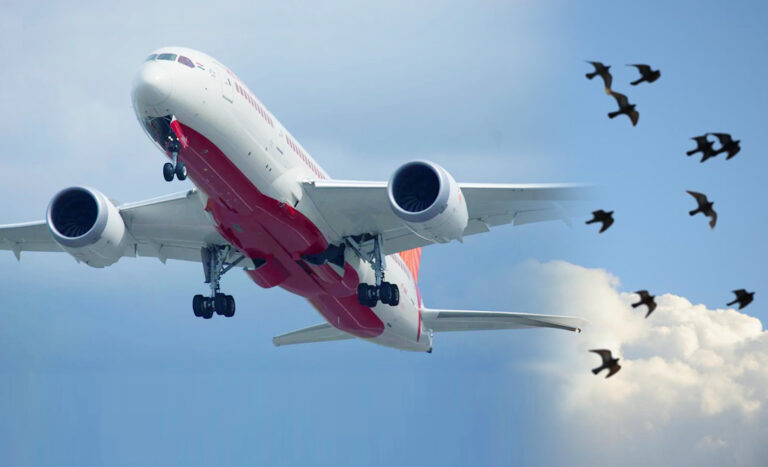 Air India plane used for return flight despite bird strike damaging ...