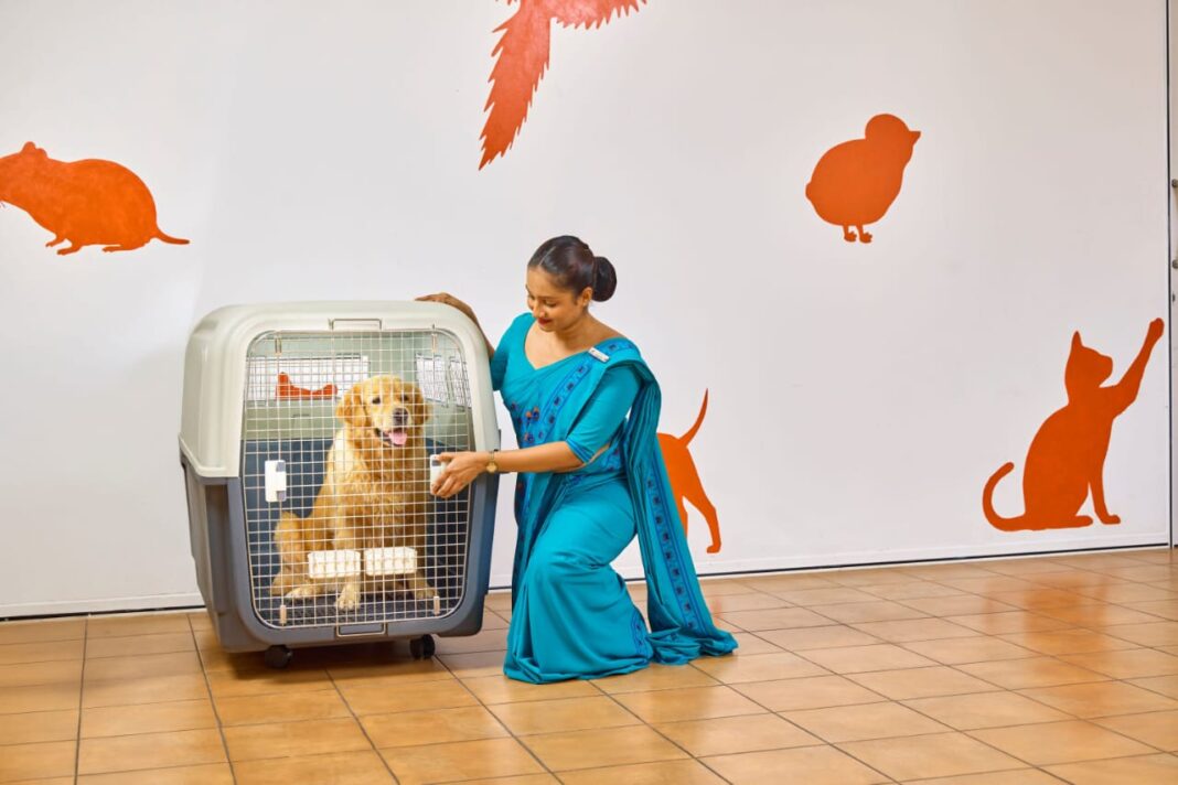 SriLankan Cargo Secures Another South Asian First with IATA CEIV Live ...